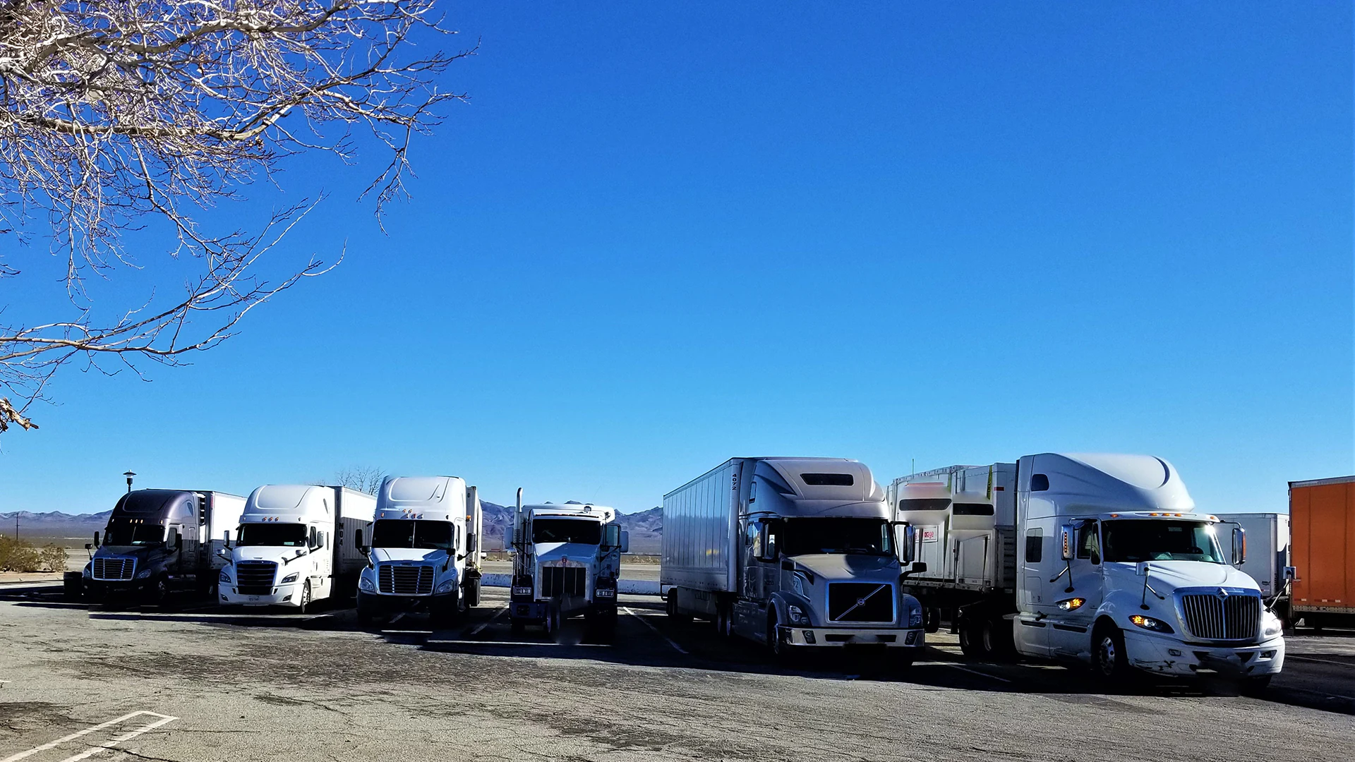 Campbell Enterprises Case Study - Konverge Digital Solutions